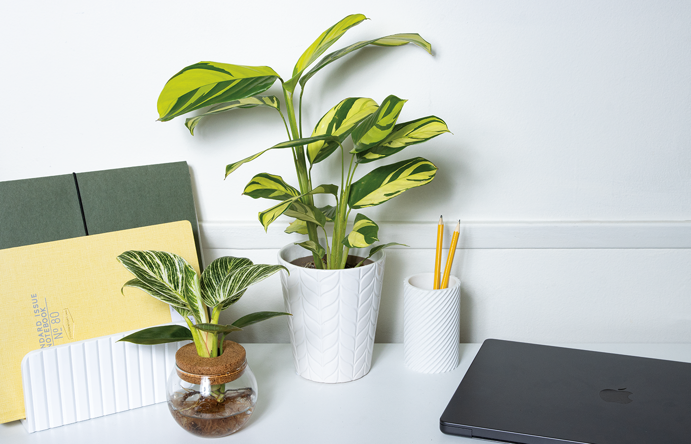 Worklife® – leafjoy®
