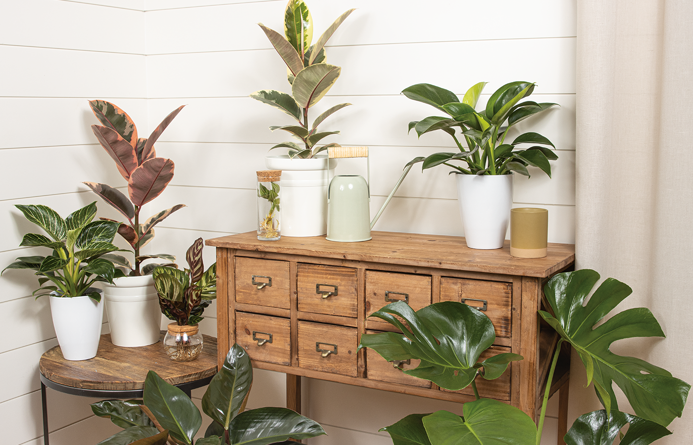 All Products – leafjoy®
